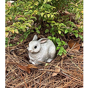 Top Brass Rabbit Key Hider Figurine - Cute Bunny Garden Statue with Secret Compartment - Indoor / Outdoor