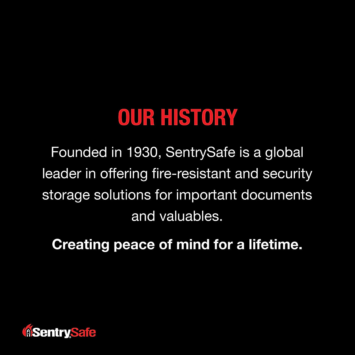 SentrySafe Fireproof and Waterproof Safe Box with Key Lock, Fire and Water Chest Safe for Valuables, 0.36 Cubic Feet, 7.6 x 16.5 x 14.8 Inches, CHW30220