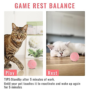 CyperGlory Interactive Cat Smart Ball Toy 2.0, Automatic Power Rolling Ball with Colorful Lights & Floral Design, USB Rechargeable, Activate Natural Hunting Instincts, Perfect Indoor Playmate (Pink)