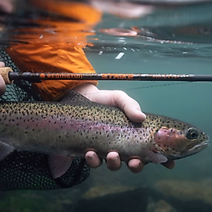 Redington Strike II Euro Nymph Fly Fishing Rod with Tube, Medium Fast Action, 4-Pieces, 4WT 10'6"