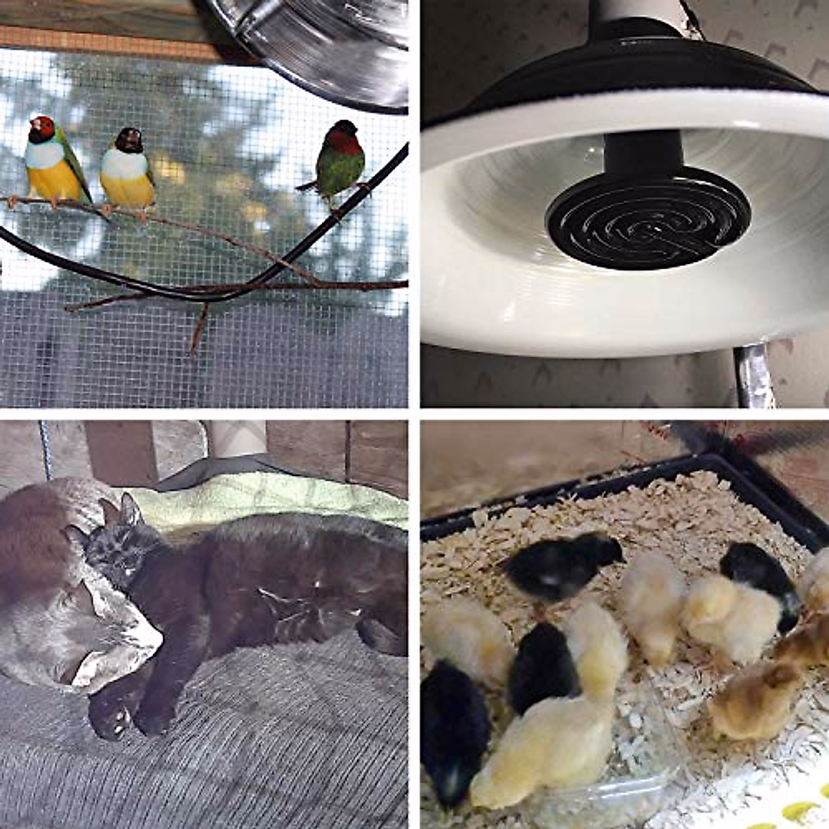 CRLight 100W 2 Pack Ceramic Heat Emitter Infrared Heat Lamp Bulb for Reptile Amphibian Pet Brooder Coop Chicken Lizard Turtle Snake Aquarium, No Light No Harm, ETL Listed, Black