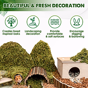 Duspro 5oz Hamster Bedding, Natural Forest Moss Bedding for Hamster, Hamster Bedding Odor Control, Decorate Hamster Hideout with Moss.