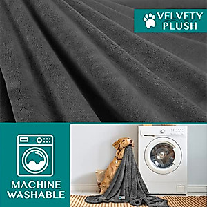 PetAmi Dog Blanket for Medium Large Dogs, Pet Bed Blanket Cat Puppy Kitten, Fleece Furniture Couch Cover Protector Sofa Car, Soft Sherpa Dog Throw Plush Reversible Washable, 40x60 Solid Dark Gray