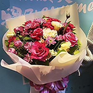 Korean Style Flower Wrapping Paper Floral Bouquet Gift Packaging Supplies Multi Colors 20 Counts (Pale Blue)