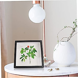 IMIKEYA 1pc Specimen Photo Frame 3d Floating Frame Specimen Holder Frame Lounge Sets Wood Frames Wood Picture Frames Black Picture Frames Black Decorate Three-dimensional Glass A4