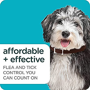 Sergeant's Guardian Pro Flea & Tick Collar for Dogs, Kills Fleas & Ticks, Long Lasting Protection for 6 Months, Fresh Scent, One Size Fits All, 1 Collar