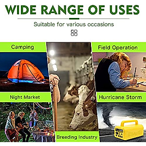 Portable Power Station - Soyond Battery Generator with Solar Generator (Solar Panel Included) 8000mAh Battery 2 LED Bulbs Fm Radio for Outdoors Camping Travel Emergency