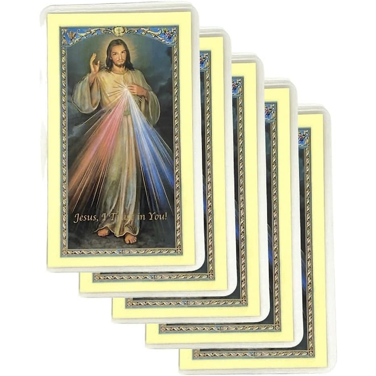 Amazing Saints The Chaplet of the Divine Mercy Laminated Holy Card Set of 5