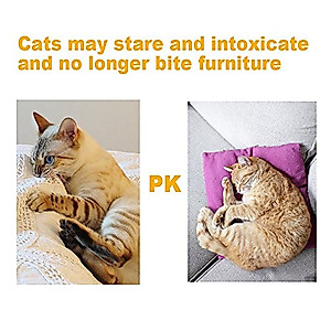 MR-BABULA Premium Natural Catnip, Selected Fresh Catnip Leaves & Bud (3OZ)