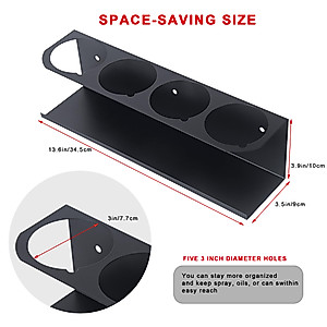 HZSSLKM 2 Pack Spray Can Holder Organizer For Garage And Workspace,Black Wall-Mounted Steel Aerosol Can Holder,Spray Paint Can Holder With Mounting Accessories Included(4 Cans)