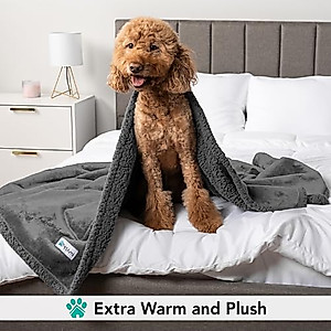 PetAmi Dog Blanket for Medium Large Dogs, Pet Bed Blanket Cat Puppy Kitten, Fleece Furniture Couch Cover Protector Sofa Car, Soft Sherpa Dog Throw Plush Reversible Washable, 40x60 Solid Dark Gray