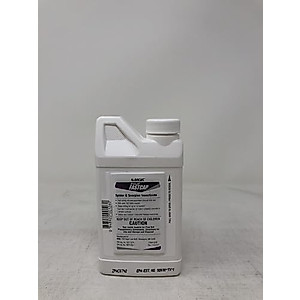 Onslaught Fastcap MGK 8 oz - Spider and Scorpion Insecticide