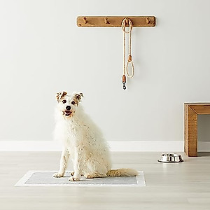 Amazon Basics Odor-Control Carbon Dog and Puppy Training Pads, Leakproof 5-Layer Pee Pads for Potty Training, XL, 28 x 34 Inches, Pack of 50, Gray