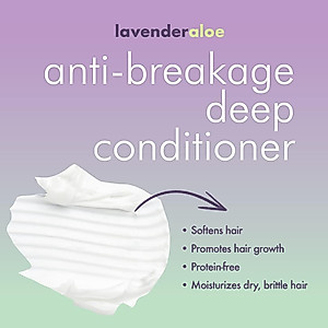 EDEN BodyWorks Lavender Aloe Anti-Breakage Deep Conditioner (16 oz) - Hair Treatment to Strengthen & Enhance Hair Elasticity