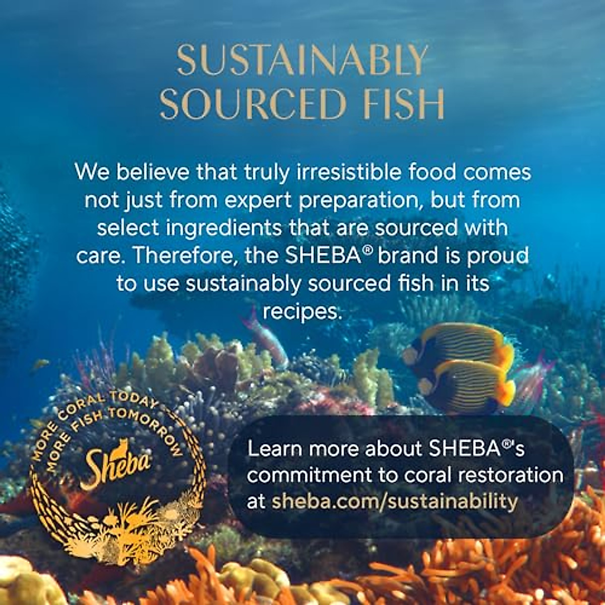 SHEBA Perfect Portions Cuts in Gravy Wet Cat Food Trays (24 Count, 48 Servings), Gourmet Salmon, Sustainable Tuna, And Delicate Whitefish & Tuna Entrée, Easy Peel Twin-Pack Trays