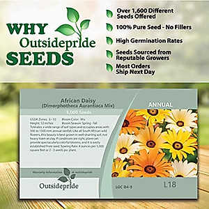 Outsidepride African Daisy Cape Marigold Butterfly Attracting Wild Flowers - 5000 Seeds