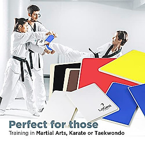 Logest Rebreakable Boards Martial Arts - Taekwondo Karate MMA Boards - Reusable Plastic Training Breaking Boards for Kids & Adults Available in 4 Levels (6 Levels Set - White Y B R B Black)