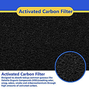 C545 True HEPA Replacement Filter S Compatible with Winix C545, B151, P150, 9300 Air Purifier, Replaces Winix Filter S 1712-0096-00 and 2522-0058-00, 2 HEPA Filter + 8 Carbon Filter
