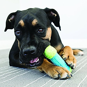 KONG CoreStrength Bone - Dog Chew Toy for Aggressive Chewers - Durable Dog Toy for Fetch - Dog Bone Chew Toy for Teeth & Gum Health - Dental Dog Toy for Mental Enrichment - Small/Medium Dogs