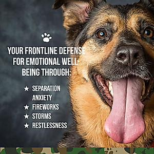 O.G.B. Operation Good Boy - SRE: Calming Supplement for Pets - 90 Count Soft Chews - 12.7oz - Alleviates Anxiety and Promotes Relaxation - Made Natural Ingredients - Veteran Owned