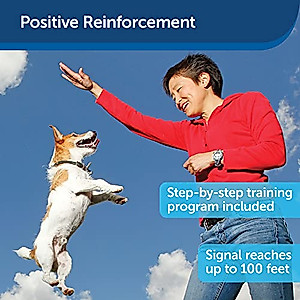 PetSafe Treat & Train - Remote Treat Dispensing Dog Training System, Positive Reinforcement, Calm Behavior, Distraction Avoidance, Includes Training DVD, Target Wand & Remote, For Dogs 6 Months & Up