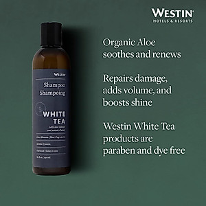 Westin White Tea Aloe Shampoo - Vitamin and Antioxidant-Packed Shampoo for All Hair Types - Signature White Tea Aloe Scent - 8 ounces