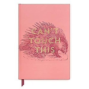 Designworks Ink Soft Touch Hardcover Funny Journal Notebook with 240 Lined Pages for Work, Writing, Journaling - Vintage Sass Can't Touch This, 14,6 x 21,6