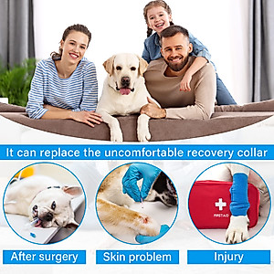 Etdane Recovery Suit for Dogs Surgery Suit Female Spay Male Neuter Dog Onesie for Surgery Female Dog Body Suits After Surgery Surgical Suit Anti Licking Wounds Dog Shedding Suit Purple/Large