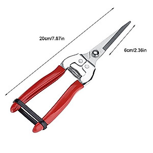 Sturdy Fruit Tree Bonsai Gardening Trimming Pruning Shears Garden Scissors Pruner Tool for Hand Pruners Trimmer Garden Clippers Flower Cutter (Straight Blade)