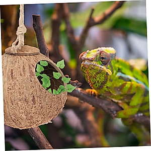 POPETPOP Natural Lizard Nest Kit 2-Piece Pet Villa Nest Vine Cozy Warm Bed for Small Reptiles Semi-Closed for Temperature Retention Pet Enthusiasts