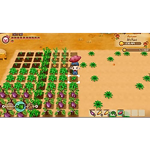 Story of Seasons: Friends of Mineral Town - Xbox One