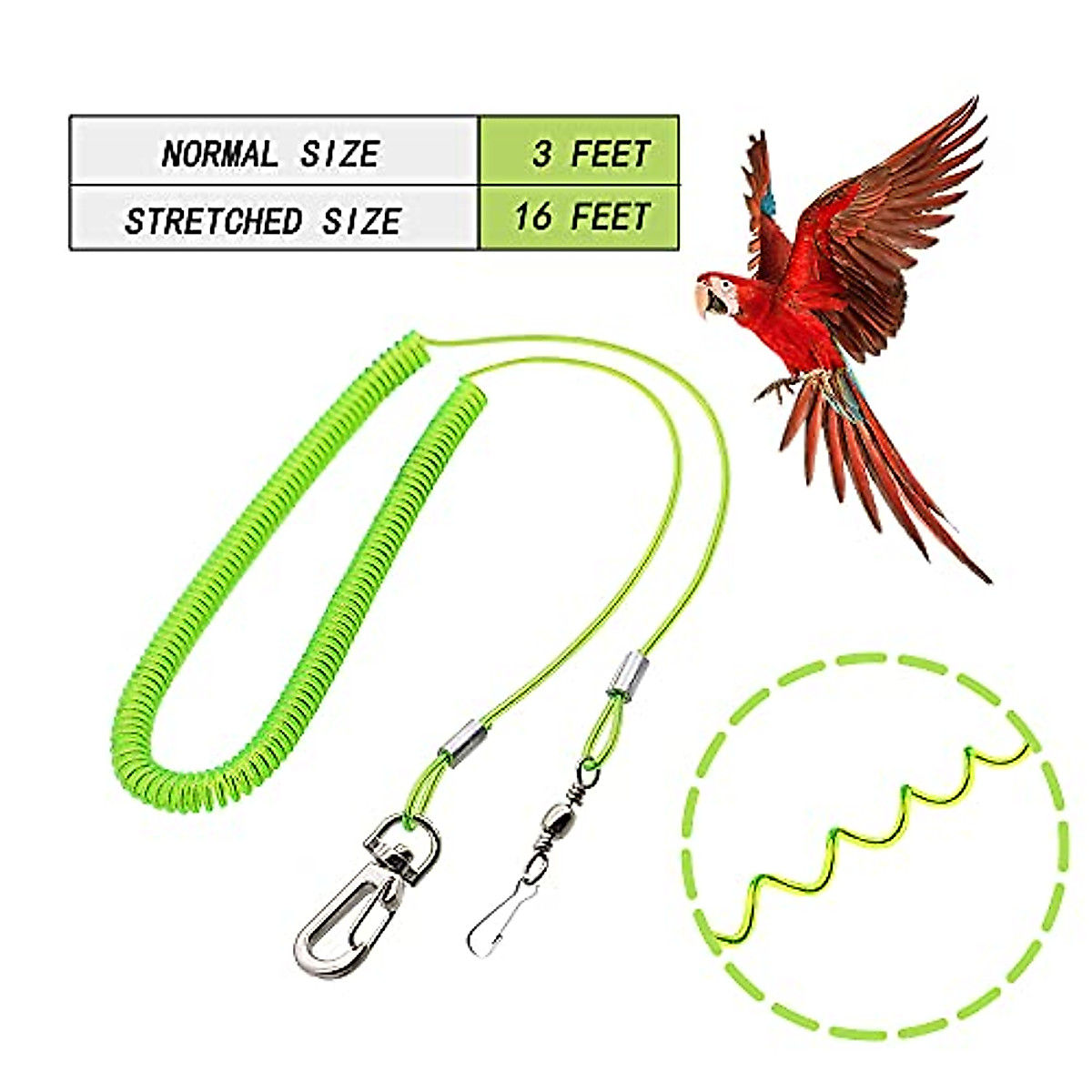 Parrot Bird Harness Leash Anti-bite Outdoor Flying Training Rope with 5pcs Different Sizes of Soft Foot Loops and Training Whistle(Upgraded Version of Ankle Ring)