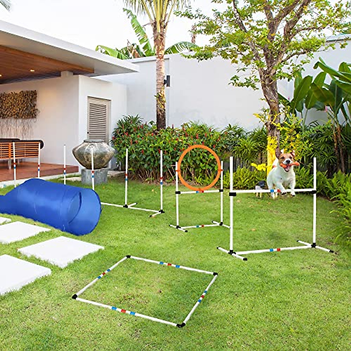 PawHut Dog Agility Equipments, 5 Pieces Obstacle Courses Training Starter Kit, Pet Outdoor Games of Tunnel, Dog Jump, Hoop, Weave Poles, Pause Box and Easy Carry Case