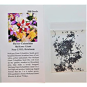 David's Garden Seeds Flower Columbine McKana Giant 9977 (Multi) 200 Non-GMO, Heirloom Seeds