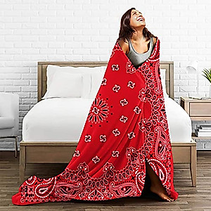 Paisley Soft Blanket All Season Fuzzy Throw Warm Lightweight Blanket Flannel Blankets Fleece Throws for Bed Sofa Couch Travel Home Living Room Decor 80"x60"