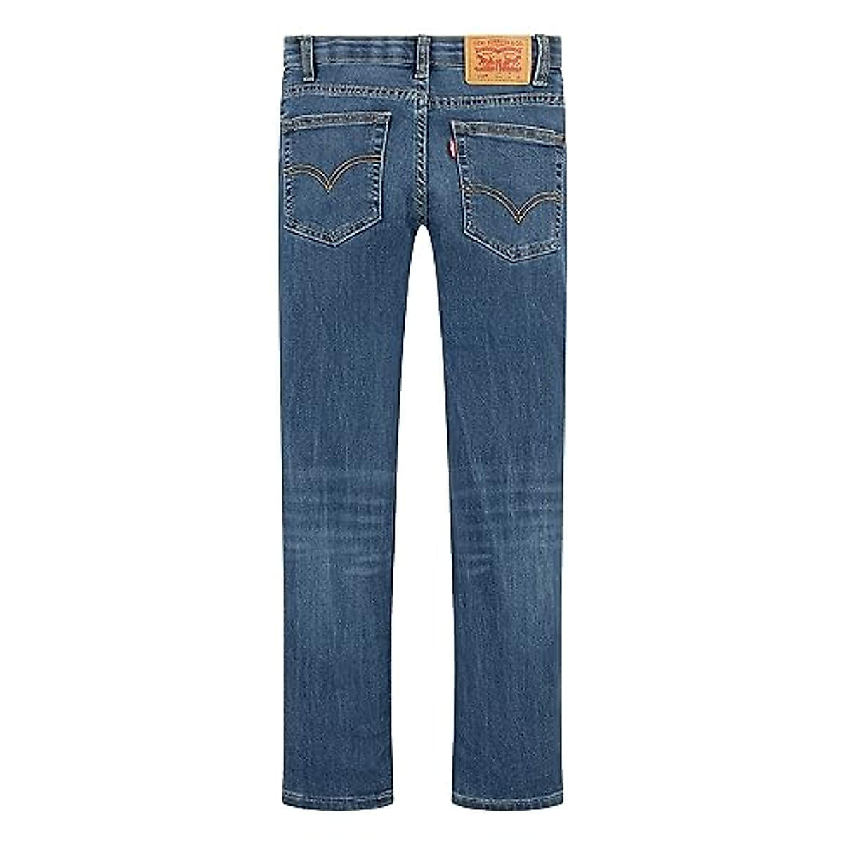 Levi's Boys' 510 Skinny Fit Destructed Jeans, Paper Shredder, 12