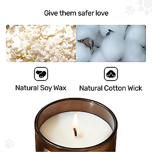 Pet Odor Eliminator Candle, Lavender Cedar Fragrance, Natural Soy Candle with Catnip Essential Oil, Non-Toxic, Pet Friendly & Pet Safe, Pet Lover Gifts, 60-Hour Burn Time, 7 oz