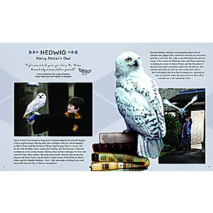 Harry Potter Hedwig 3D Wood Puzzle & Model Figure Kit (24 Pcs) - Build & Paint Your Own 3-D Movie Toy - Holiday Educational Gift for Kids & Adults, No Glue Required, 8+ 