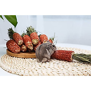 PStarDMoon Natural Guinea Pig Chew Toy, Dried Corn Sticks with Timothy Hay, Molar Toys for Bunnies Rabbits Chinchilla Hamsters Guinea Pigs Gerbils Groundhog Squirrels （5 PCS ）