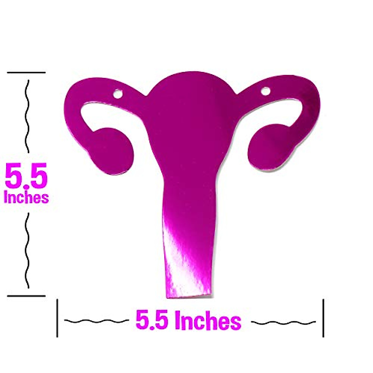 ROFLmart Uterus Party Bundle Banner Confetti And Balloon Decorations For Hysterectomy Party