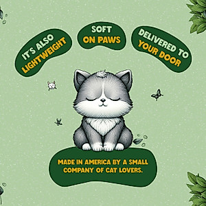 Catalyst Natural Soft Wood Cat Litter (2 Pack, 10lb Bags) - Superior Odor Control, Strong Clumping, Low Dust, and Biodegradable (10lb, Set of 2, Healthy Cat)