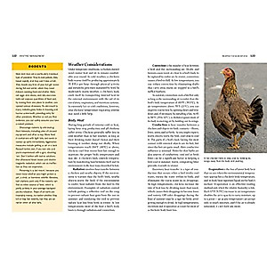 Storey's Guide to Raising Chickens, 4th Edition: Breed Selection, Facilities, Feeding, Health Care, Managing Layers & Meat Birds
