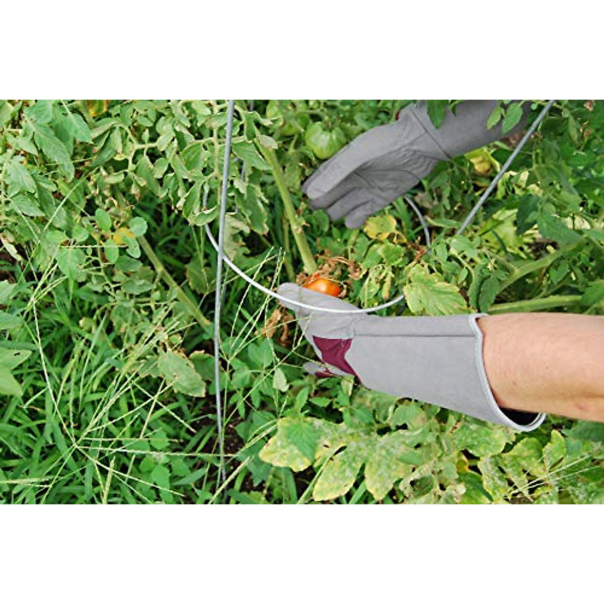 MAGID Professional Rose Pruning Thorn Proof Gardening Gloves with Extra Long Forearm Protection for Women (TE195T-S) - Puncture Resistant, Grey & Maroon, 6/XS (1 Pair)