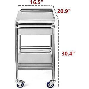 TFCFL 2-Layer Lab Cart, Stainless Steel, 20.9" x 16.5" x 34", 28kg, 4 Lockable Wheels, Omnidirectional, Wide Applications