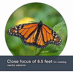 Celestron – Nature DX 8x42 Binoculars – Outdoor and Birding Binocular – Fully Multi-coated with BaK-4 Prisms – Rubber Armored – Fog & Waterproof Binoculars – Top Pick Optics