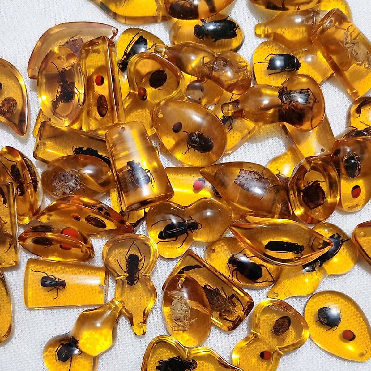 Multiple Psc Insect Amber Fossils, Luminous Amber Fossil Pendants, Educational and Scientific Amber Collections (12Pcs)