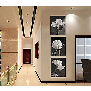 Canvas Wall Art Contemporary Simple Life White Flower Lily Painting Wall Art Decor - 3 Panels Framed Canvas Prints Black and white Style Giclee Artwork Ready to Hang Home Decorations Office Decor Gift