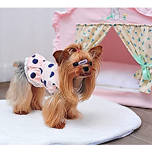 MSNFOASM 2Pcs-Pet Dog Elastic Soft Dress,Cute Polka Dots Lace Skirt for Small Dogs Cats（White&Pink S）
