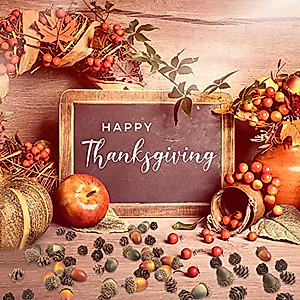 200 Pieces Natural Pine Cones and Artificial Acorns Decorations, Christmas Mini Pinecones Fake Acorns with Natural Acorn Cap for DIY Craft Vase Filler Home Christmas Festival Party Fall Winter Decor