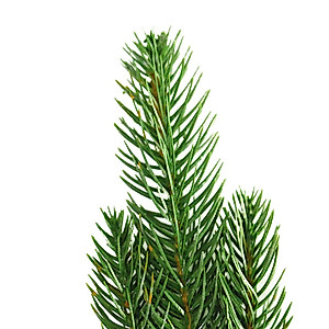 wonuu 25pcs Artificial Pine Green Leaves Needle Garland for Christmas Embellishing and Home Garden Decor, 11x4.7 Inches(Green-25 Pack)